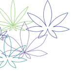 PRICH Biotech – PRICH Biotech Cannabis