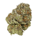 Productos - PRICH Biotech