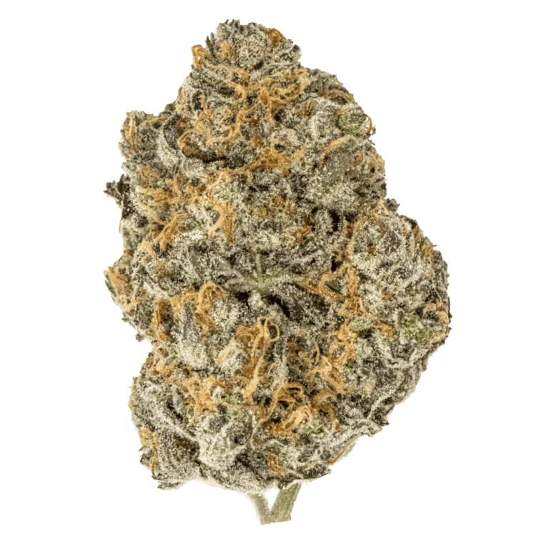 Nosotros - PRICH Biotech