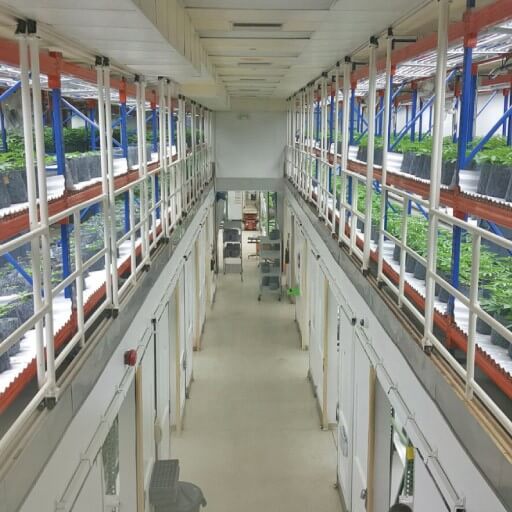 Nosotros - PRICH Biotech