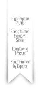 Flores - PRICH Biotech