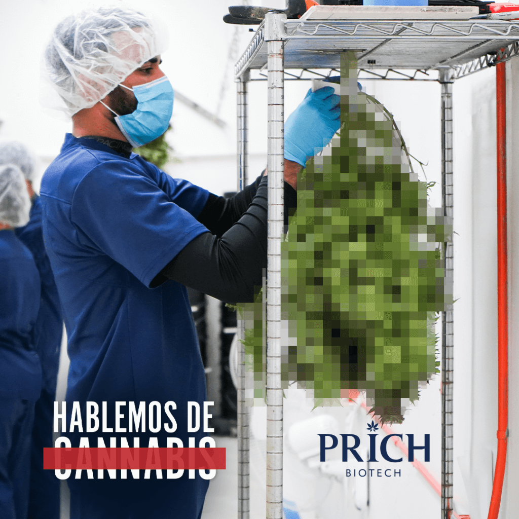 Noticias - PRICH Biotech